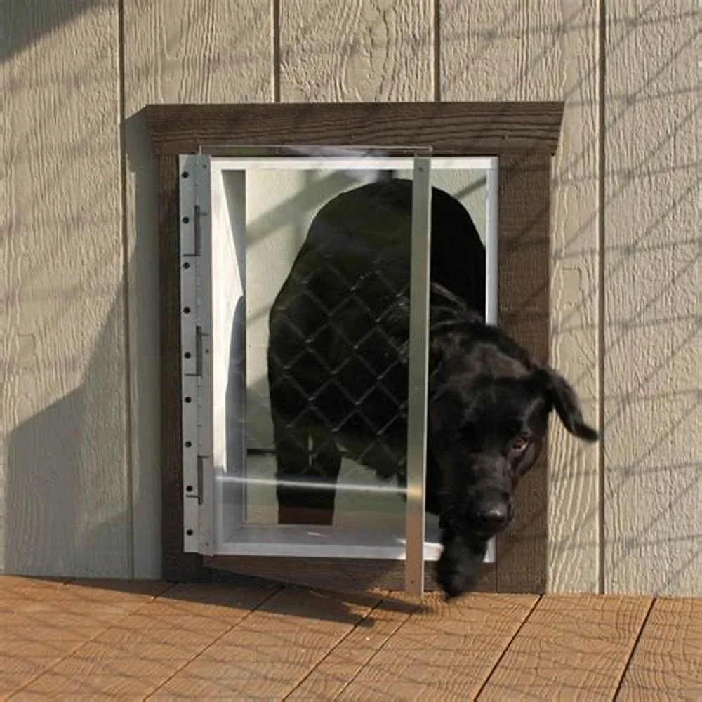 Our Kennels Gallery | Straightline Enterprises