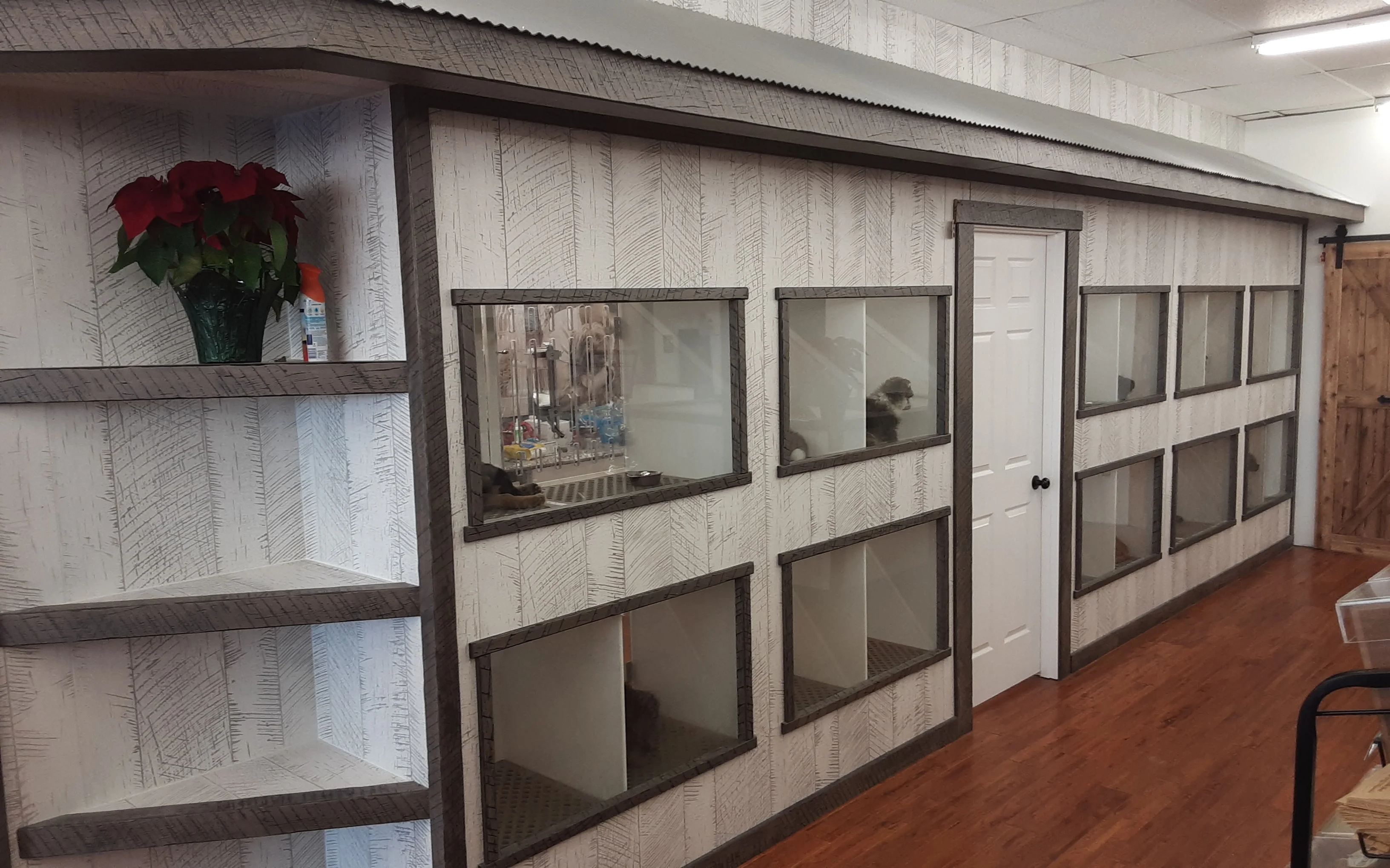 Our Kennels Gallery | Straightline Enterprises